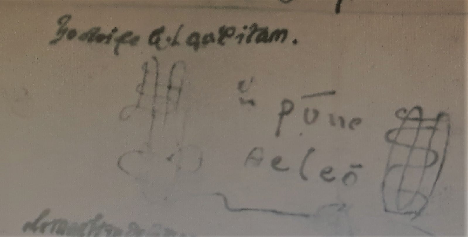 LA CRÓNICA APÓCRIFA DE JUAN PONCE DE LEÓN (1460-1521) - Esteban Mira ...